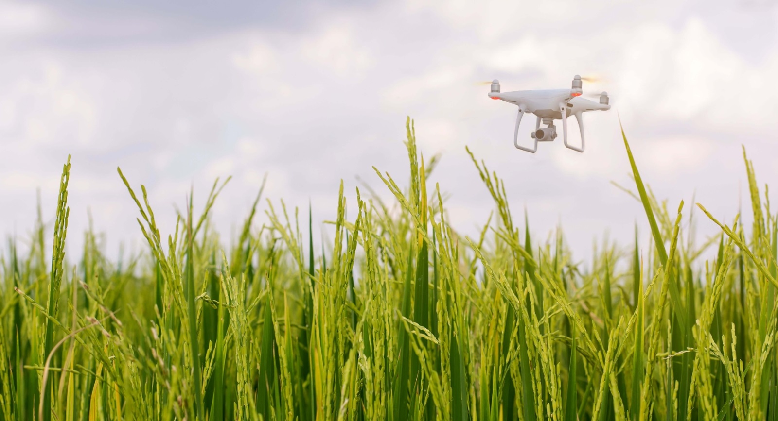 Digital Agriculture Seminars