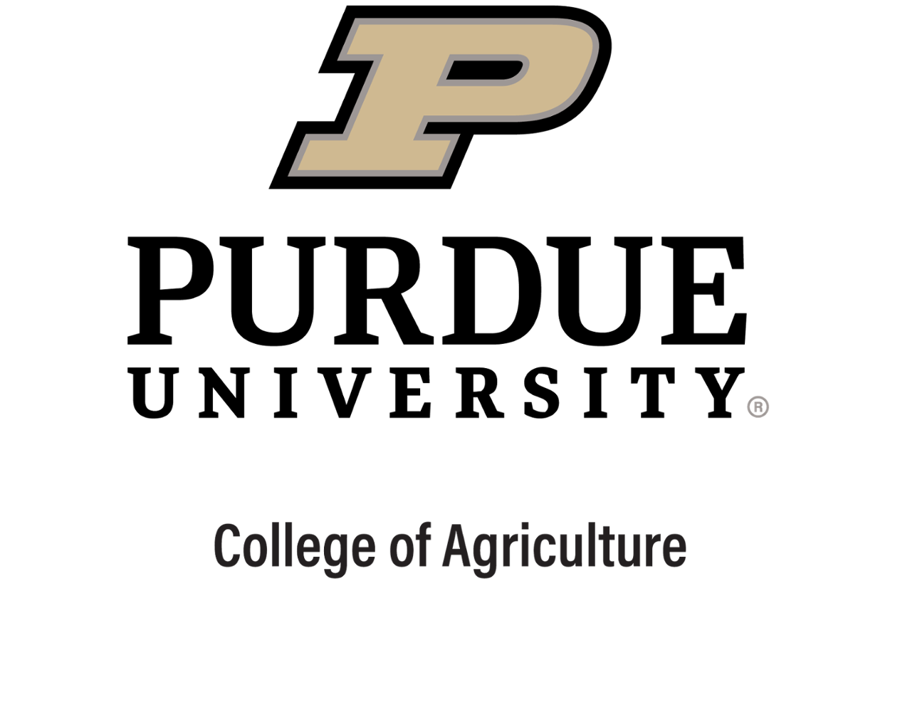 Planning For Graduation And Beyond Planning For Graduation And Beyond