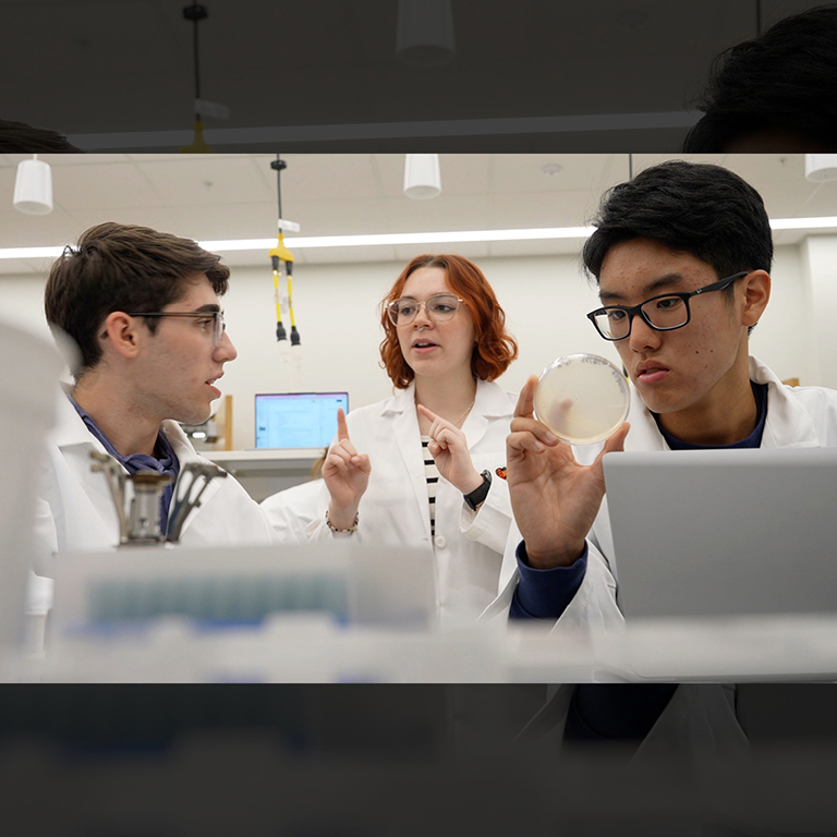 College of Agriculture