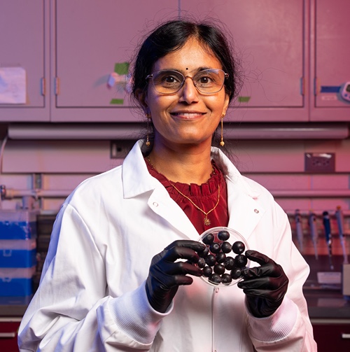 College of Agriculture - Purdue University