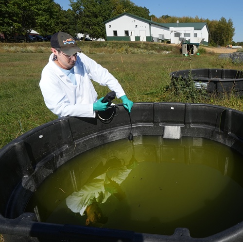 College of Agriculture