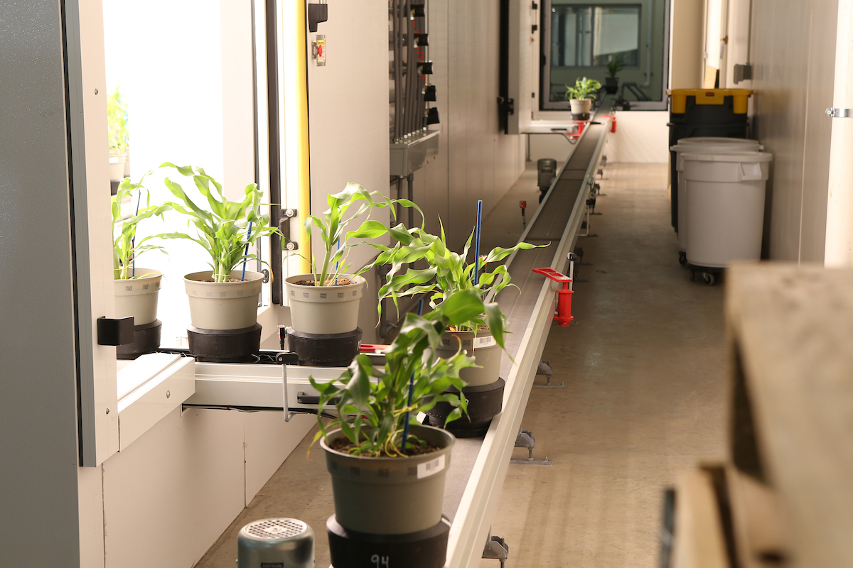 Ag Alumni Seed Phenotyping Facility