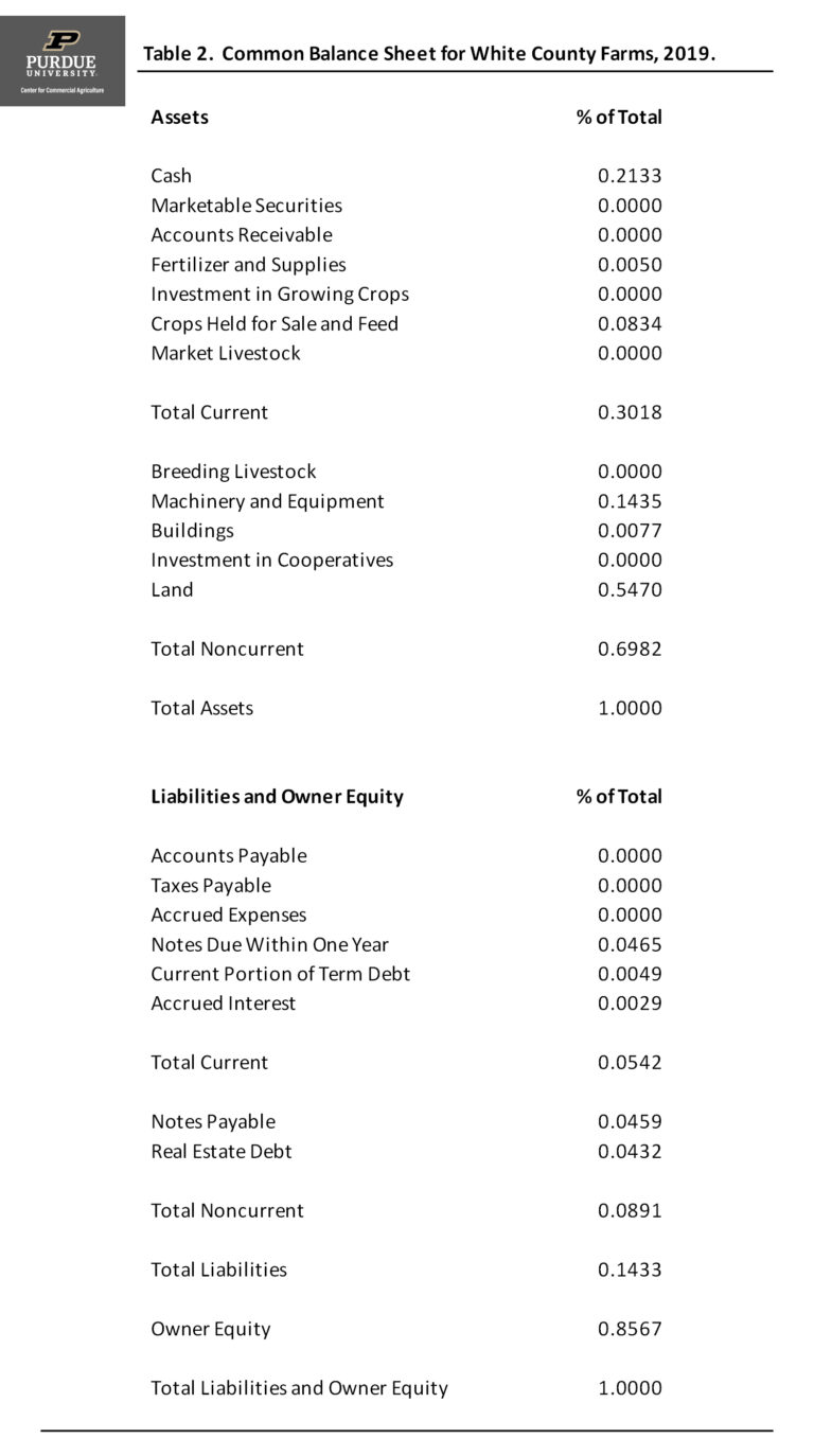 Market Value Balance Sheet and Analysis - Center for Commercial Agriculture