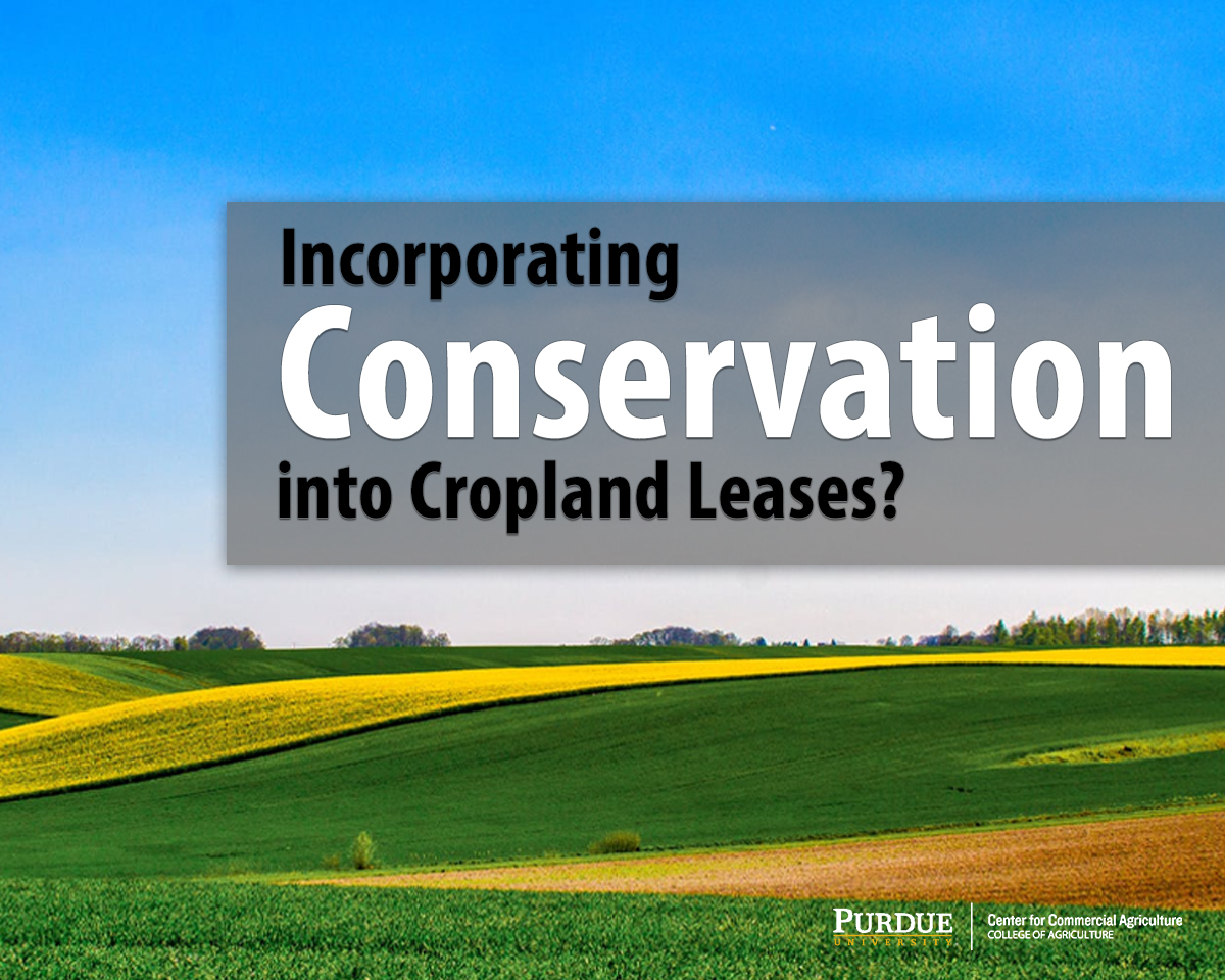 Incorporating Conservation Practices and Improvements into Cropland ...