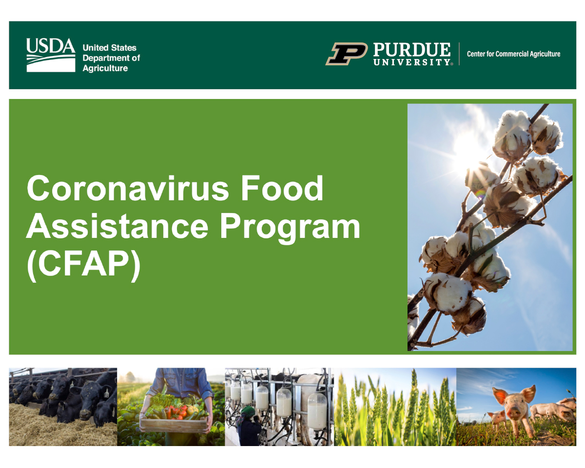 Coronavirus Food Assistance Program Application Details - Center for ...