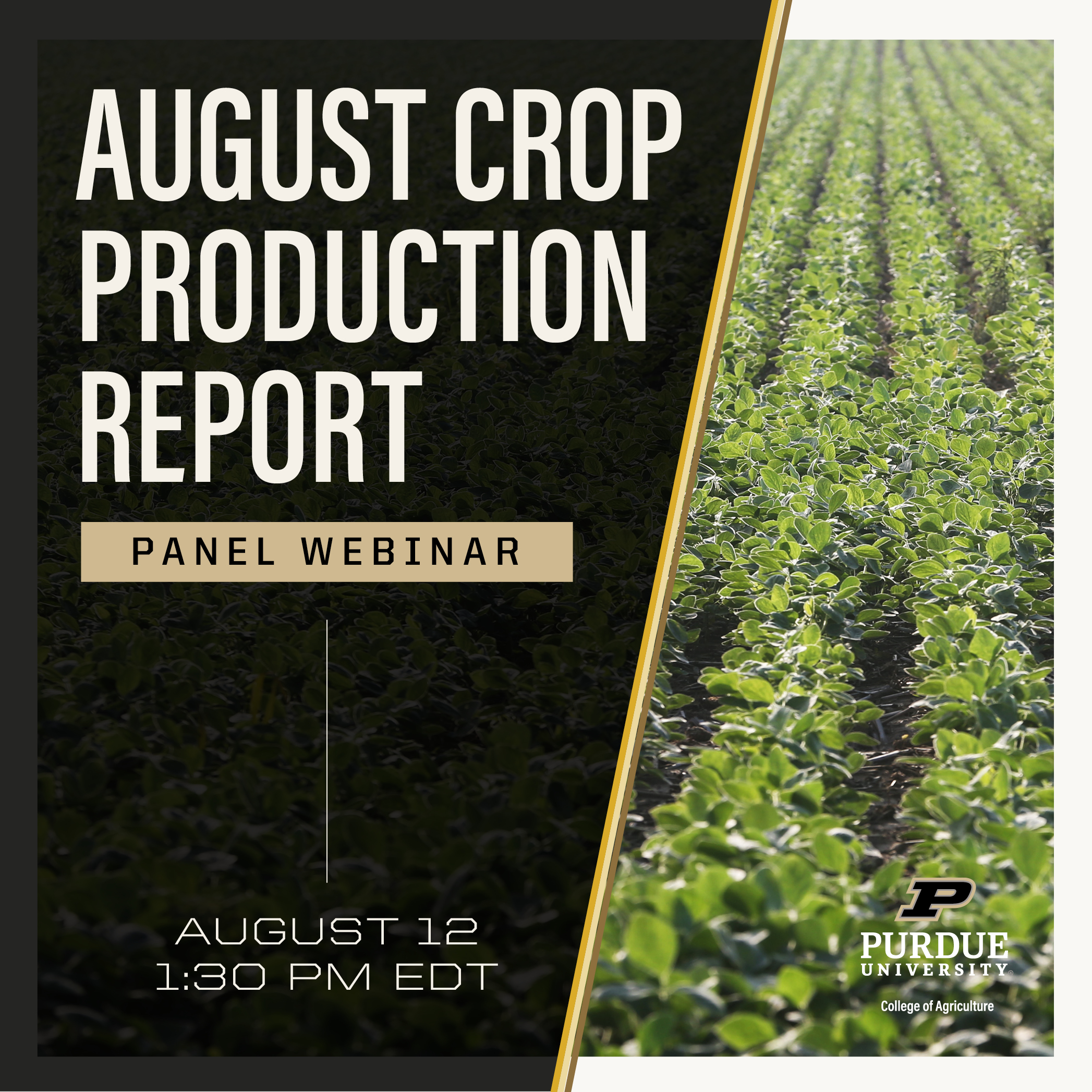 August Crop Production Report Panel Webinar - Center for Commercial ...