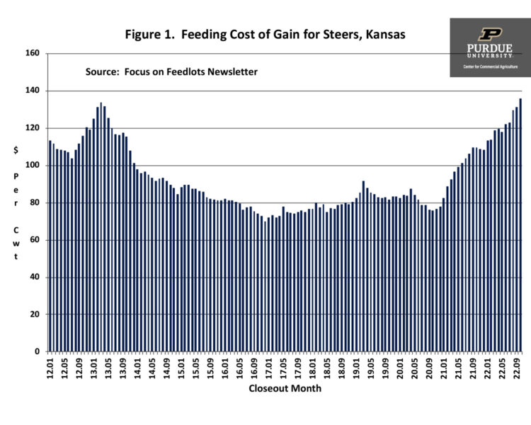 Cattle Finishing Net Returns Prospects for 2023 - Center for Commercial ...