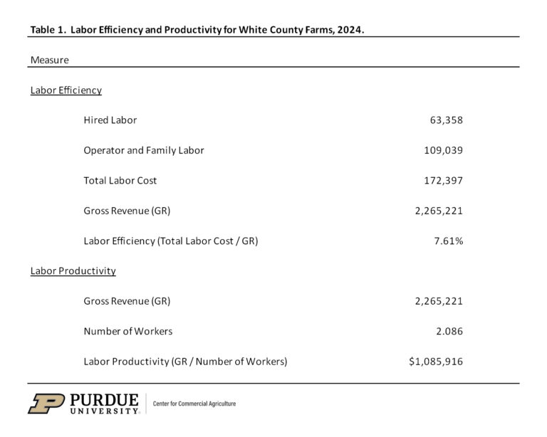 Benchmarking Labor Efficiency and Productivity - Center for Commercial ...