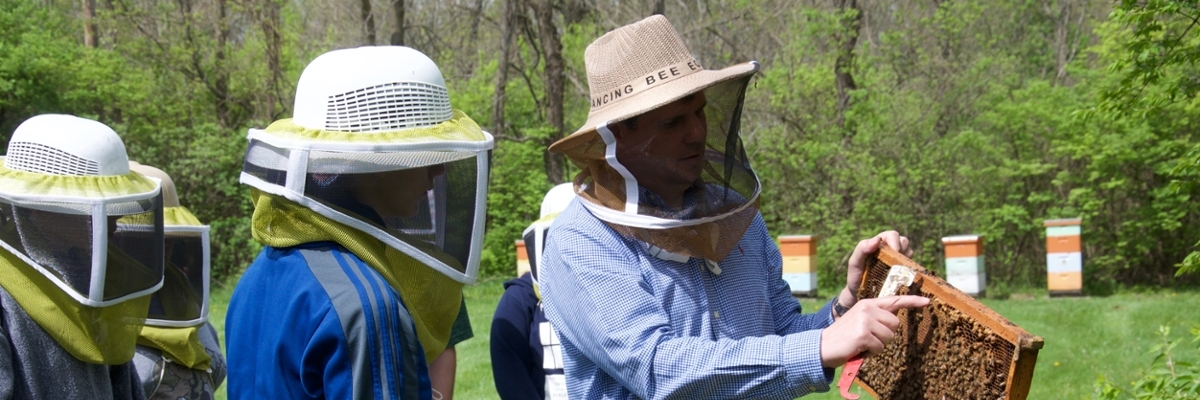 Discover Insect Biology