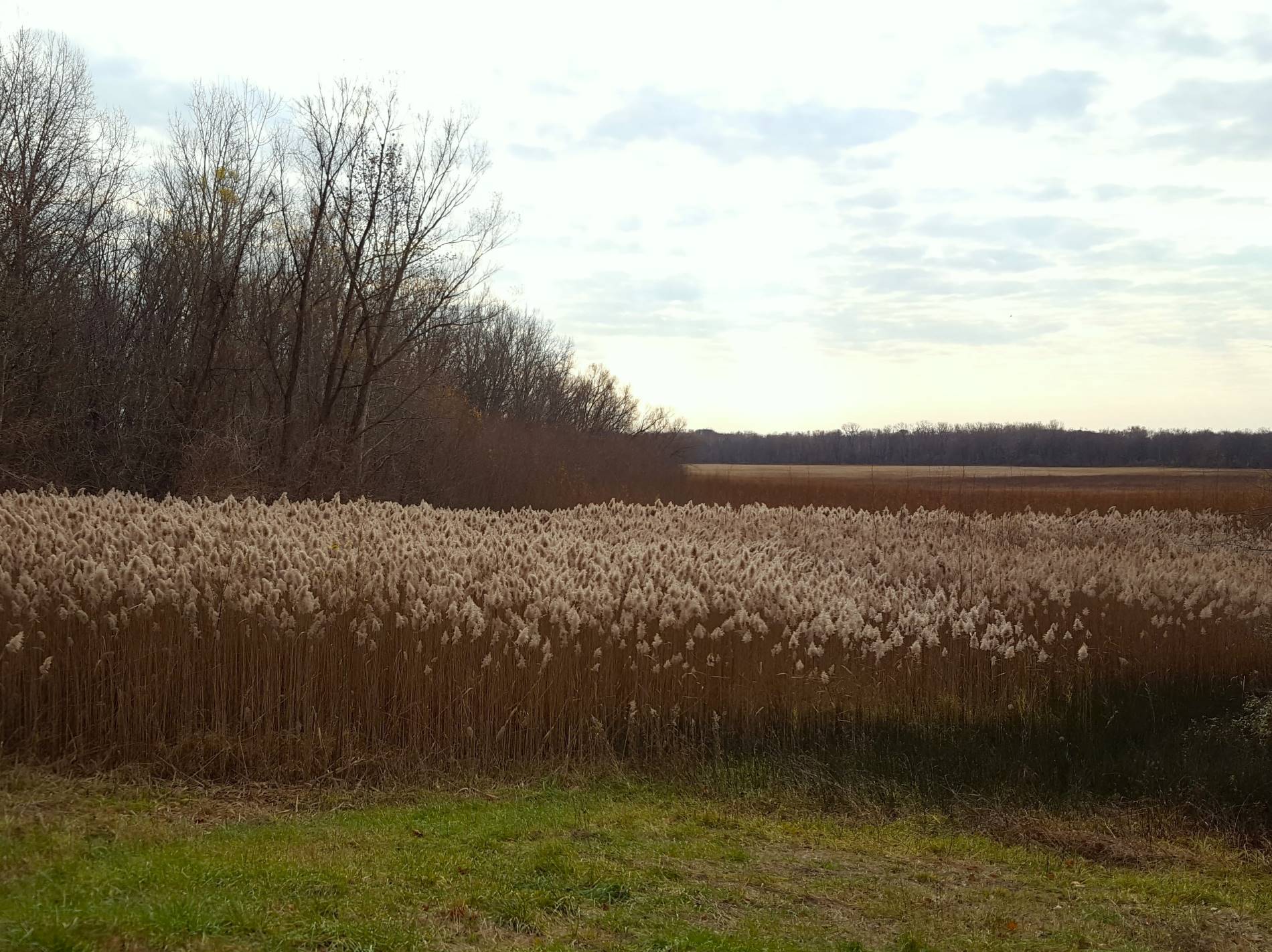 Indiana Invasive Species Conference