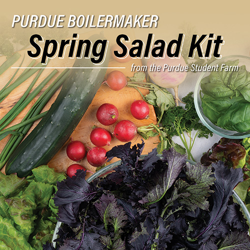 Boilermaker Spring Salad Kit