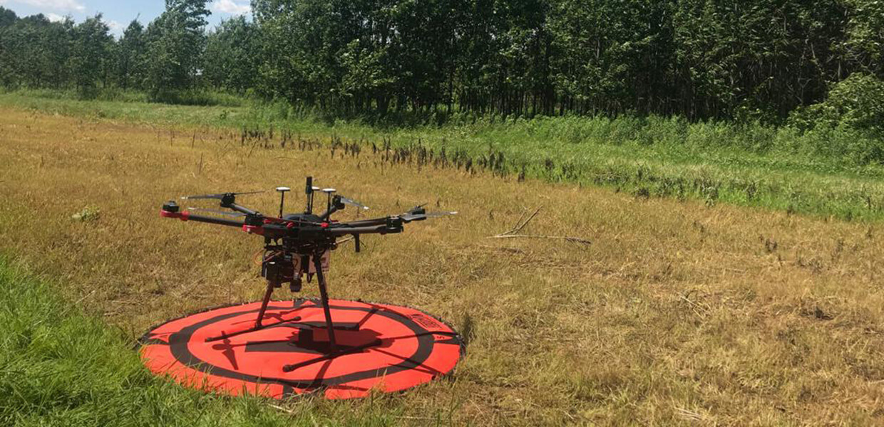 Tree Inventory with Aerial Remote Sensing