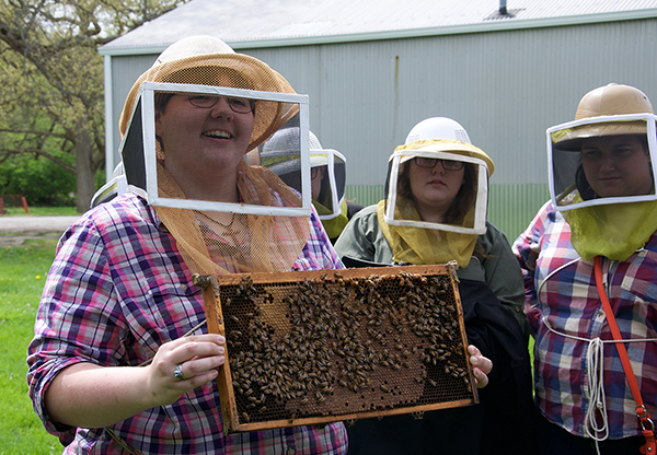 Discover Insect Biology