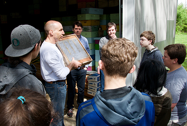 Discover Insect Biology