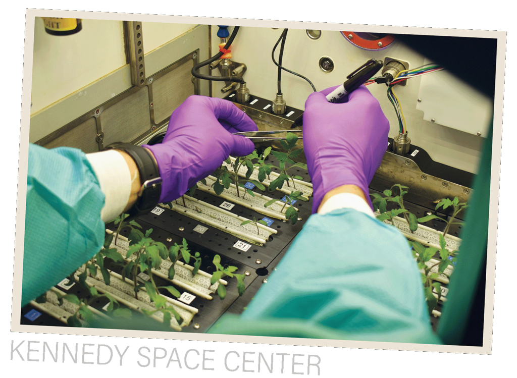 The Big Idea: Global partnerships – Envision – College of Agriculture ...