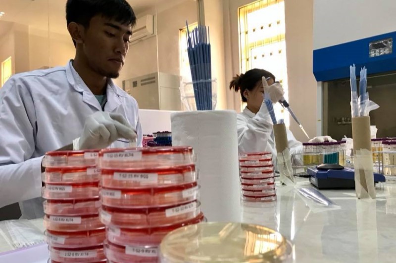 2020 - Feed the Future Innovation Lab for Food Safety