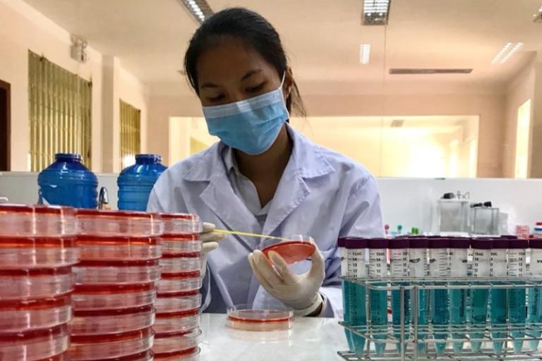 2020 - Feed the Future Innovation Lab for Food Safety