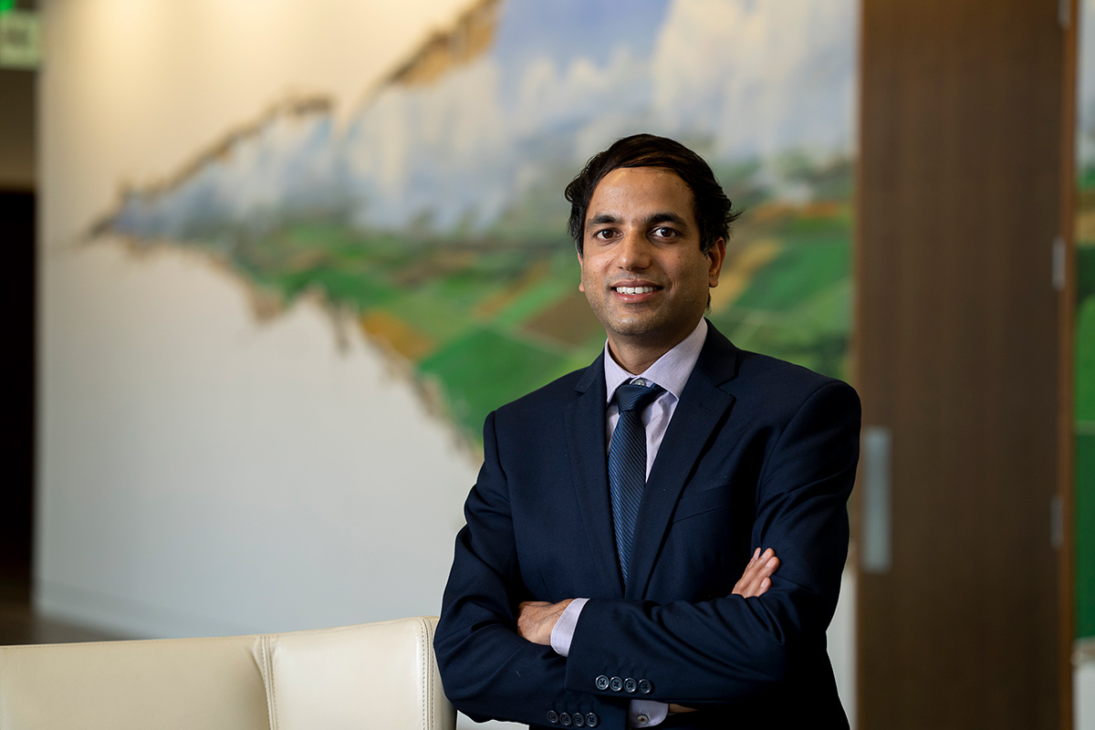 Understanding Economic Incentives and Obstacles in Food Safety: A ...