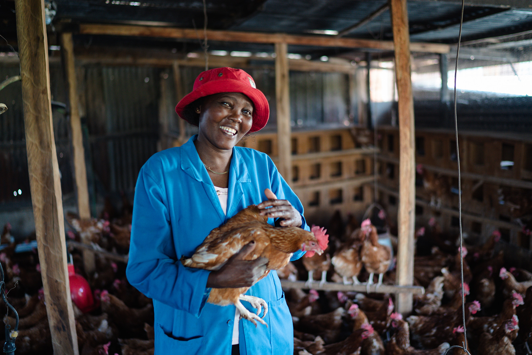 Understanding the Roles of Women, Men, and Youth on Poultry Farms in ...