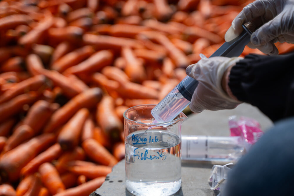 Study Identifies Water Quality as a Priority for Food Safety in Nepal ...