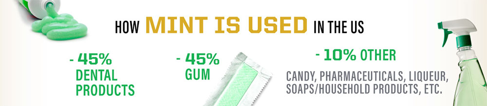 Indiana Mint Oil Production