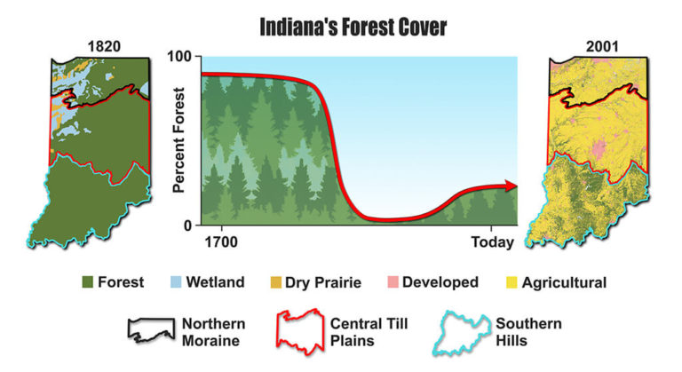 Indiana’s Future Forests: A Report from the Indiana Climate Change ...