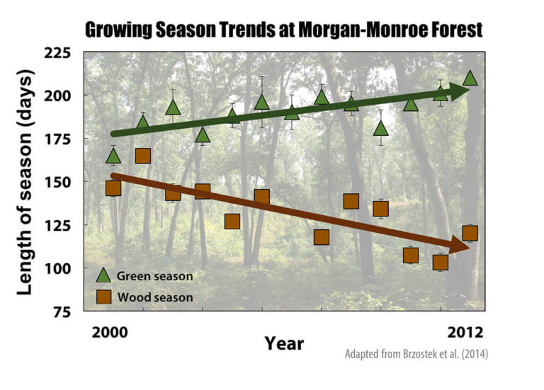 Indiana’s Future Forests: A Report from the Indiana Climate Change ...