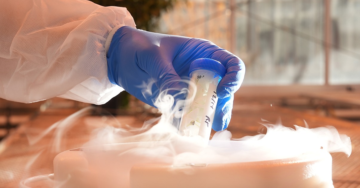 Stop and smell the volatile secondary metabolites