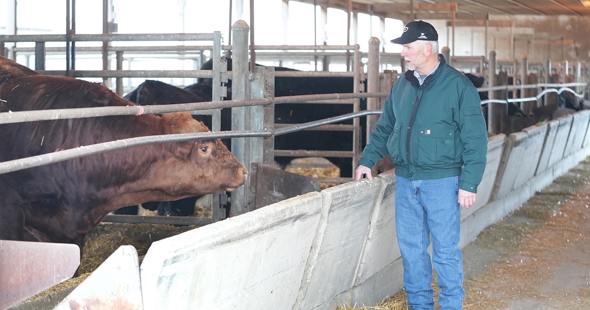 Behind the Research: Jeff Fields