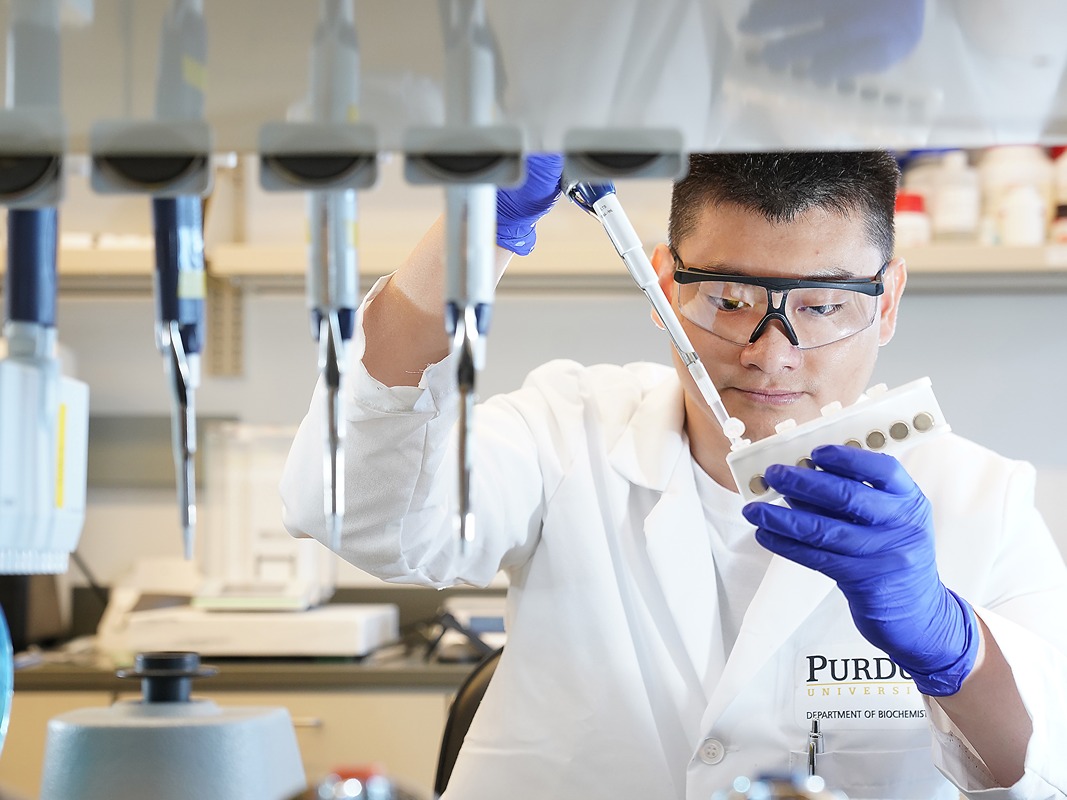 Purdue researchers explore noninvasive method for sampling drug response