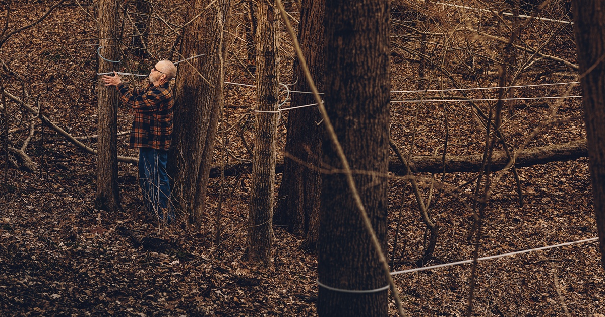 Purdue University, University of Kentucky helping to increase “green ...