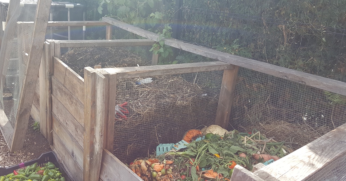 Unlocking the benefits of composting: tips for a greener garden