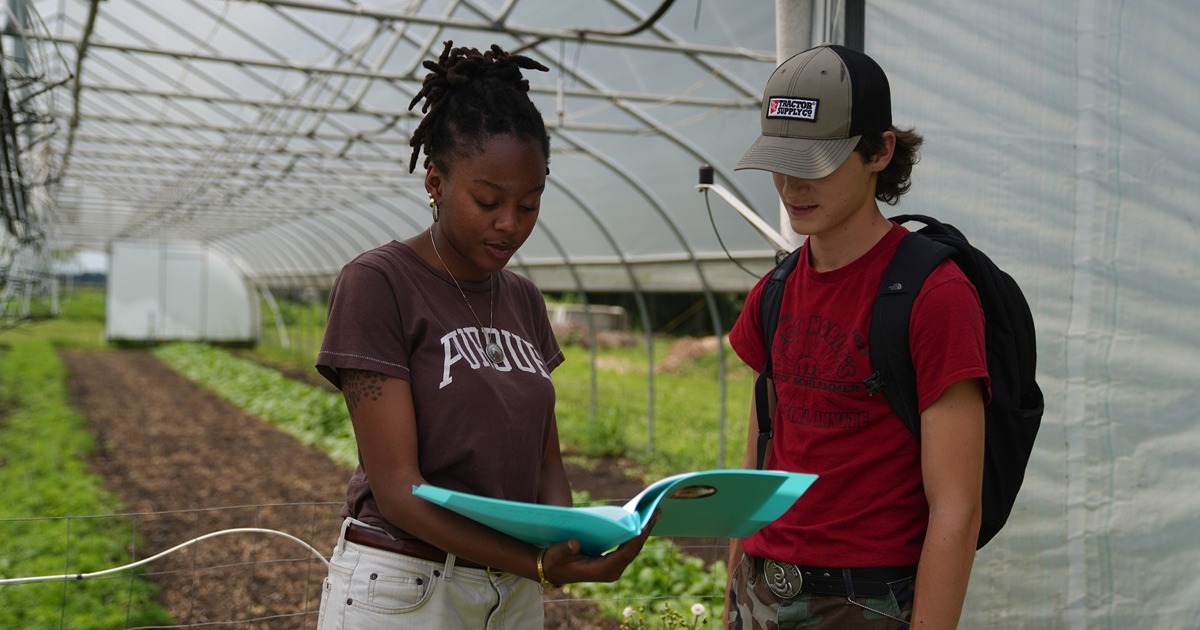 Fields of Discovery: Students at summer camp explore agriculture