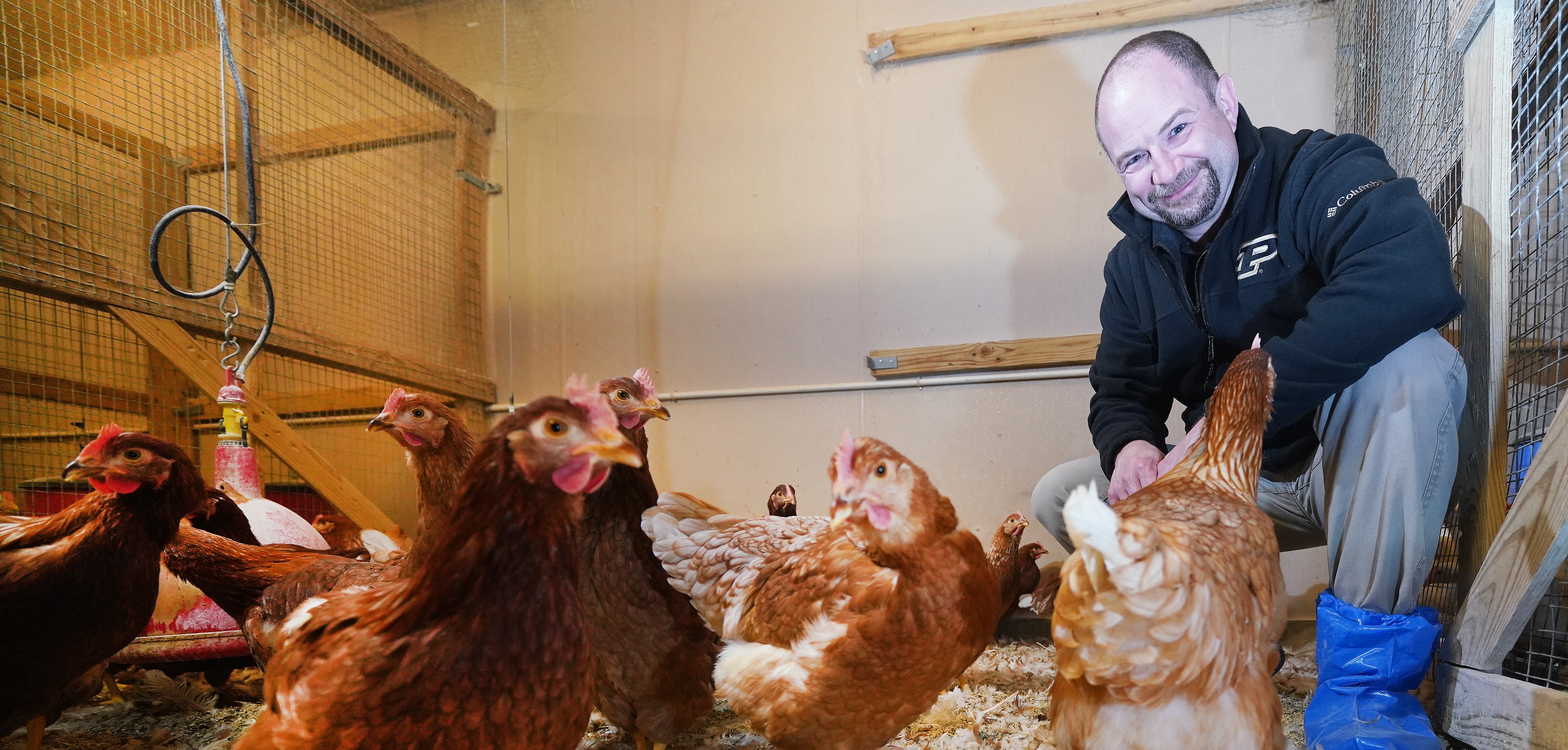 Shell Egg Academy: Purdue’s program improves safety across US egg industry