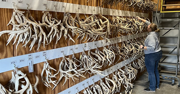 Forestry & Natural Resources