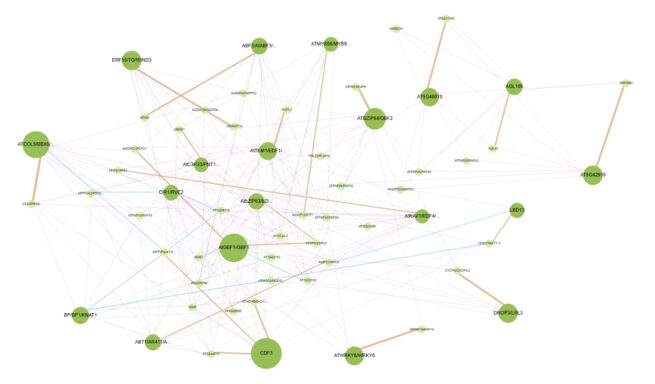 Interactive cytoscape visualization - Research Services