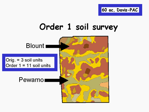 Order 1 soil survey